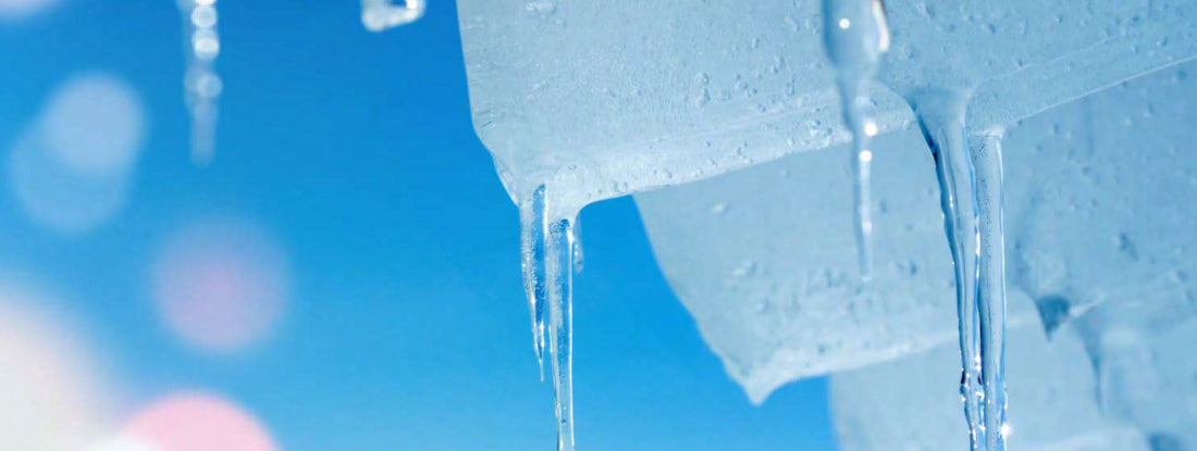 Flex Seal Spring Thaw Guide – flexsealproducts.com